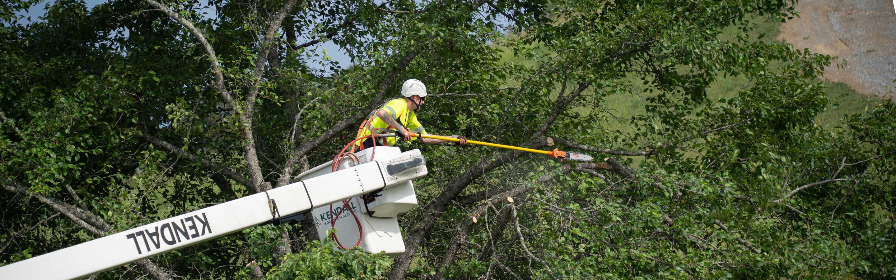 Utility Vegetation Management - XKIG
